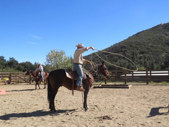 Bob King and Horse of the Sun Ranch – Eclectic Horseman